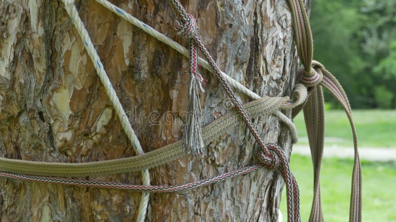 Ropes KnotsTensions stock footage. Video of equipment - 71970628