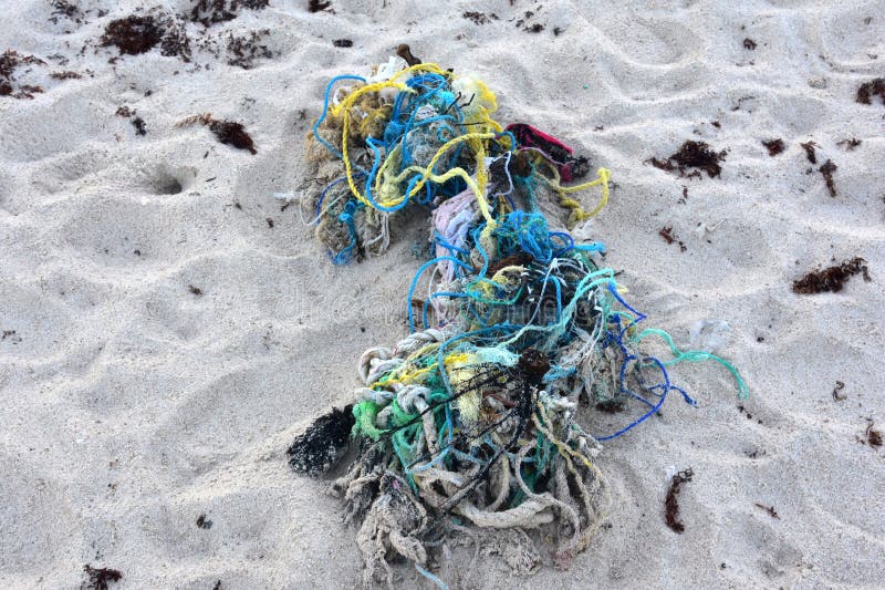Ropes and Garbage Washed Up on the Beach Texture Stock Image - Image of ...