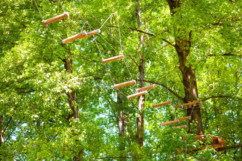 Ropes Park Suspended Path Walk High on the Trees Stock Image - Image of ...