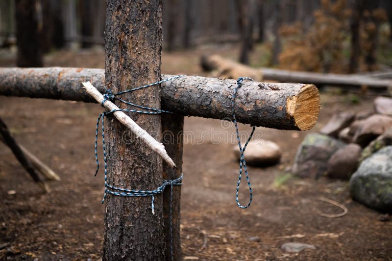 Ropes Supporting Man Sawing Tree Stock Photo - Image of trunk, working ...
