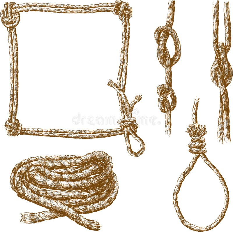 Hangmans noose stock illustration. Illustration of noose - 7743057