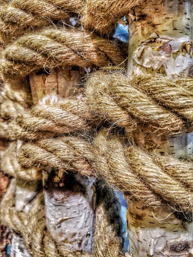 Ropes design stock photo. Image of woody, wood, design - 123081112