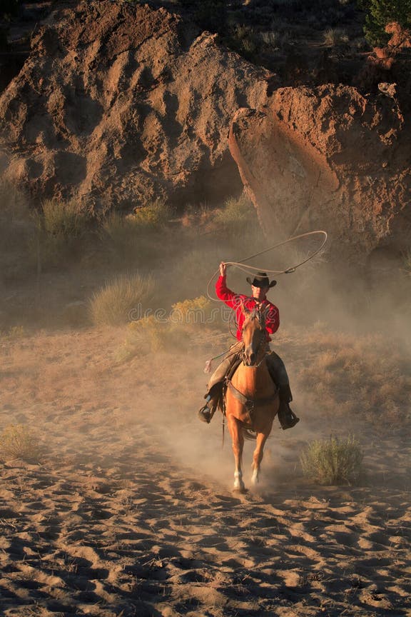 Roping Cowboy stock image. Image of herding, wild, riding - 12597317