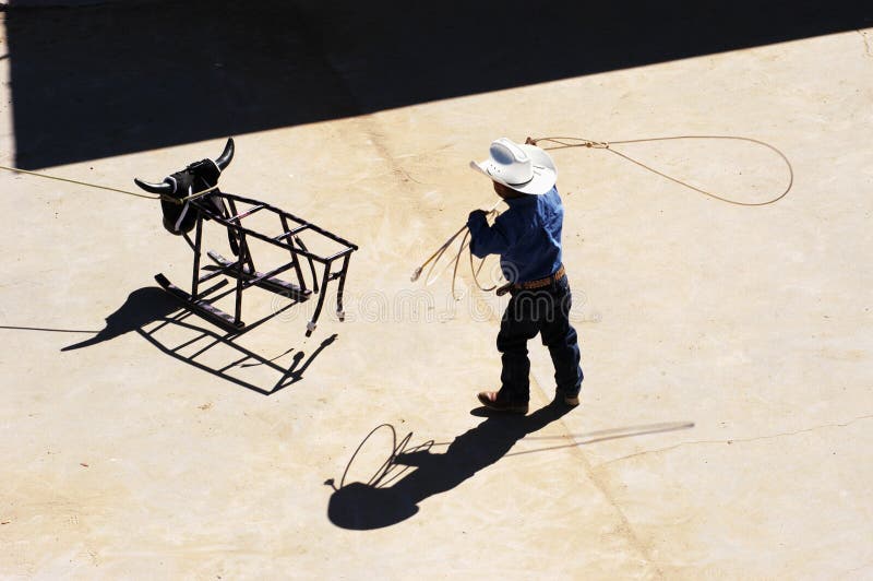 Steer Roping stock image. Image of pursue, cowboy, catch - 1498597