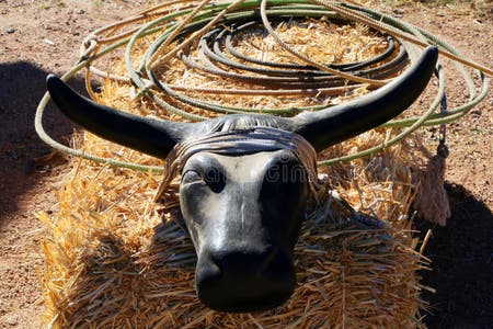 Roping steer head stock photo. Image of throws, dummies - 49936998