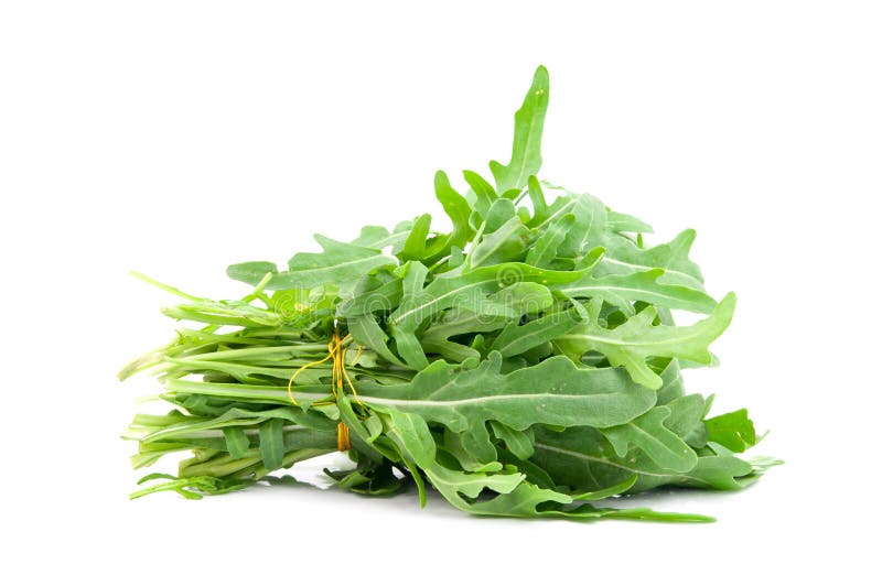 Roquette stock image. Image of ingredient, meal, medicine - 56310665