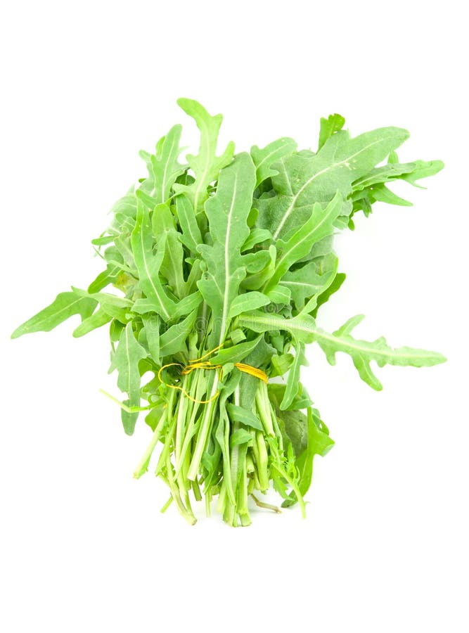 Roquette stock image. Image of eating, leaf, italian - 56538209