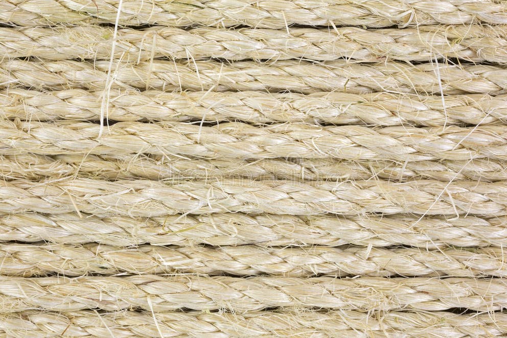 Rader av sisalrep arkivfoto. Bild av ungefärligt, hjälpmedel - 28077178