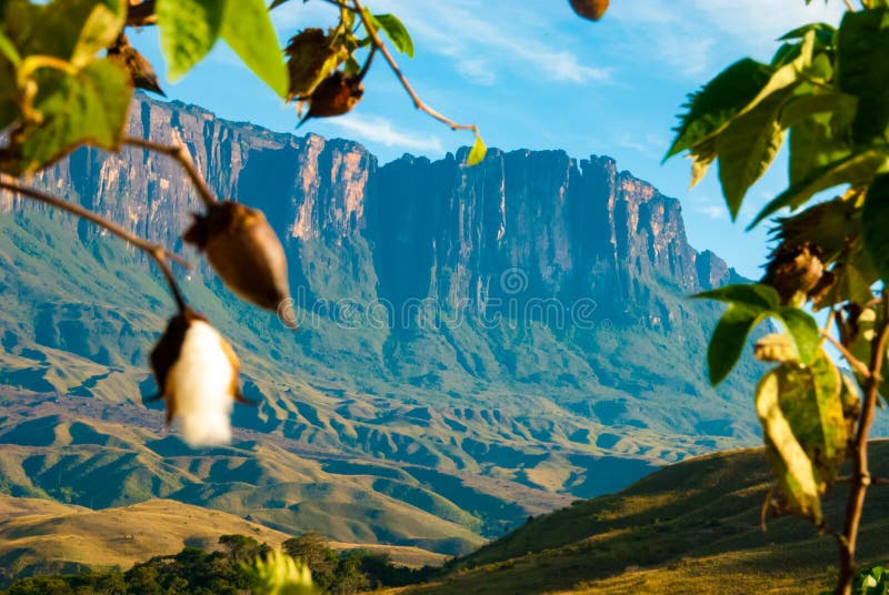 Roraima Tepui, Gran Sabana, Venezuela Immagine Stock - Immagine di ...
