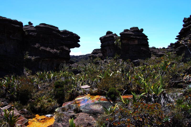 Roraima - Venezuela stock image. Image of plateau, geology - 38503123