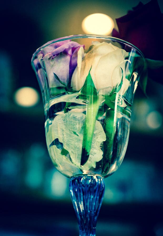 Rosa Ascendente Fechado No Flor-vaso Foto de Stock - Imagem de floral ...