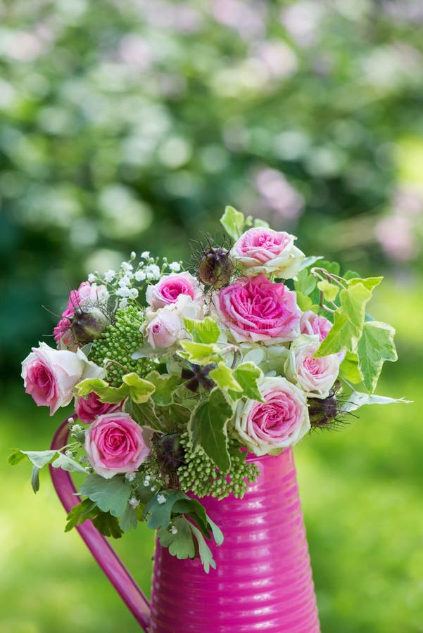 Pink Roses Flower Bouquet in a Watering Can Stock Photo - Image of ...