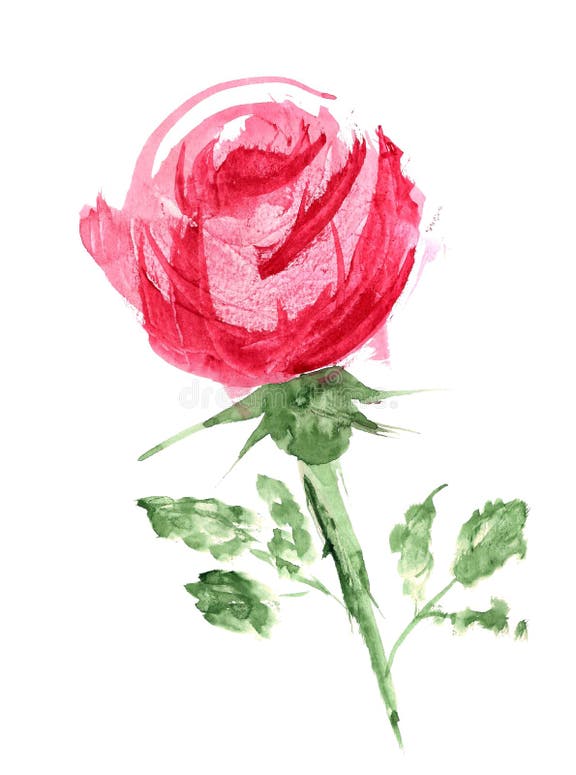 Rosa di rosa con il gambo illustrazione di stock. Illustrazione di ...