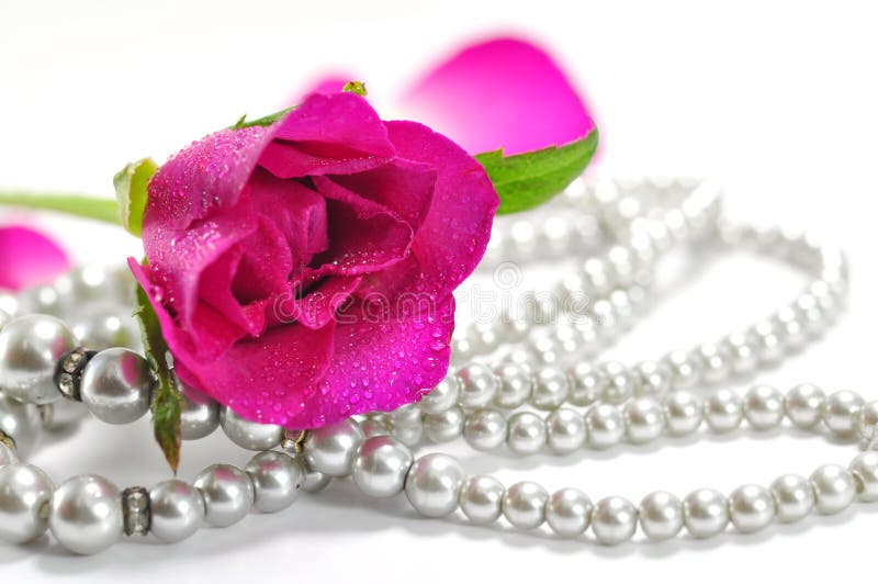 Rosa e perle immagine stock. Immagine di piacere, amore - 37933821