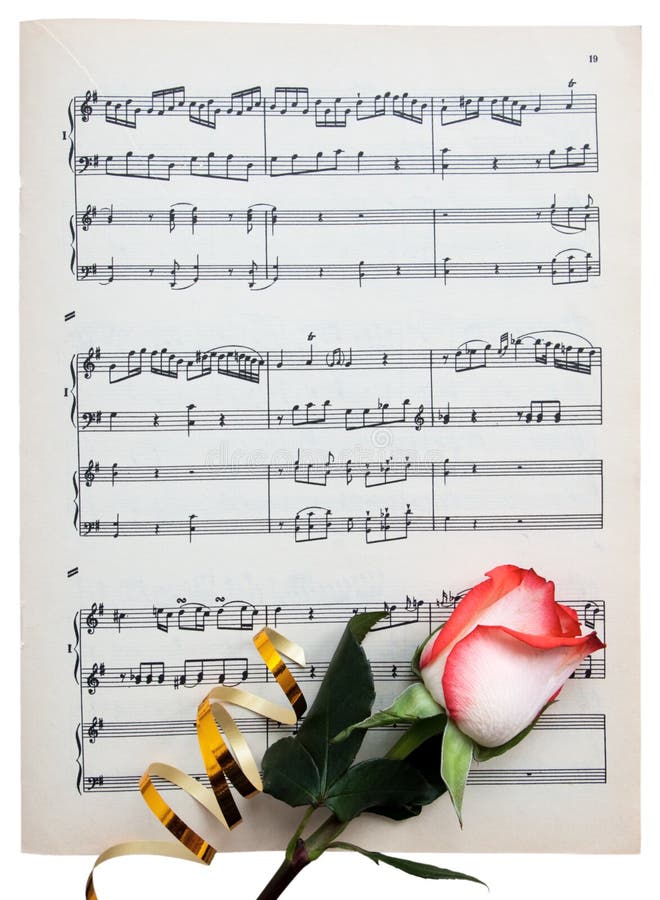 Rosa em um papel musical foto de stock. Imagem de fita - 11362516