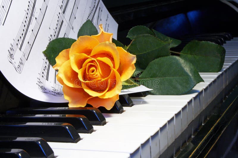Rosa Del Rojo En El Teclado De Piano Imagen de archivo - Imagen de ...