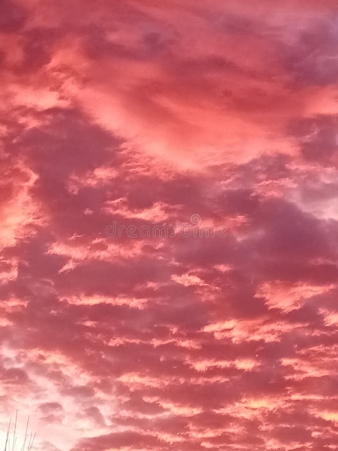 Rosa Himmel stockbild. Bild von abend, himmel, ästhetisch - 168049255