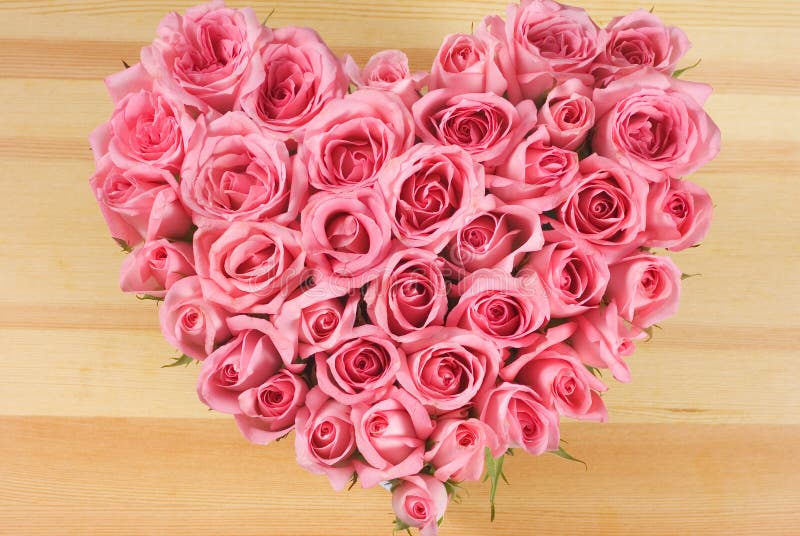 Rosa na forma do amor foto de stock. Imagem de felicidade - 3807392