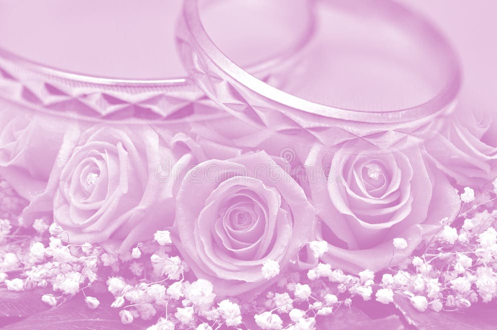 Rosa Ringe und Rosen stockfoto. Bild von rosa, weich - 43819496