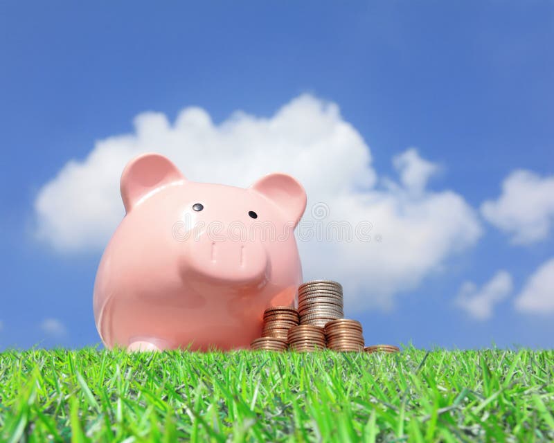 Euroet Fakturerar Att Falla in Eller Att Flyga Ut Ur En Rosa Spargris ...