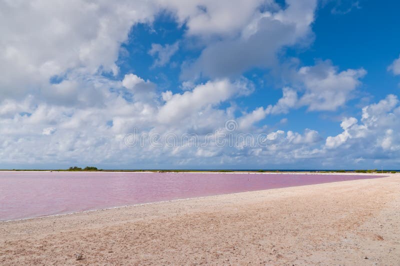 Rosa Wasser Auf Der Insel Von Bonaire Stockfoto - Bild von berg ...