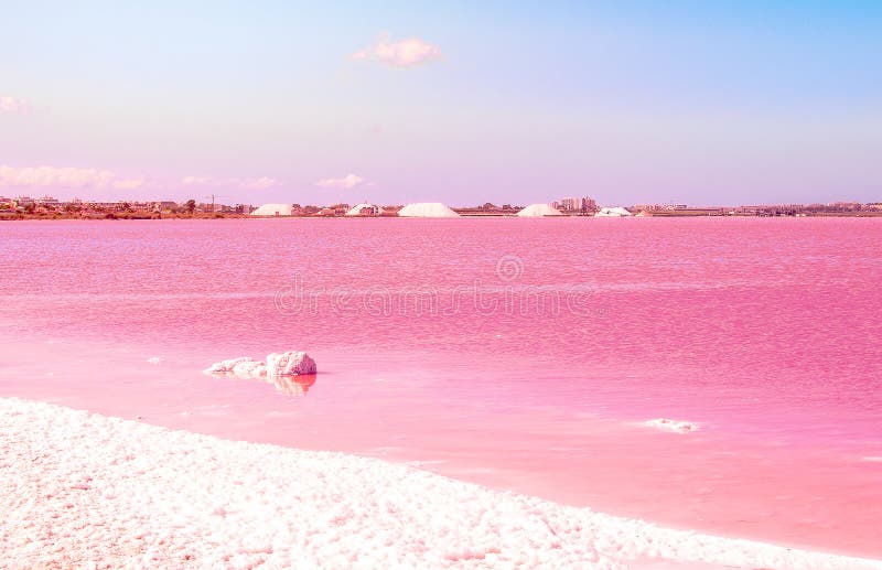 Rosa Salt Lake Und Ein Klumpen Des Salzes Im Wasser Torrevieja, Spanien ...