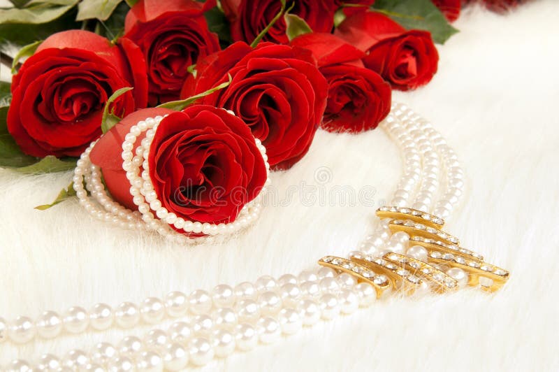 Rosas foto de archivo. Imagen de brillante, imagen, belleza - 23643628