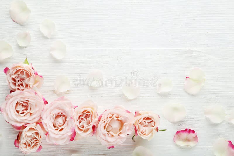 Rosas beige hermosas imagen de archivo. Imagen de objeto - 109862159