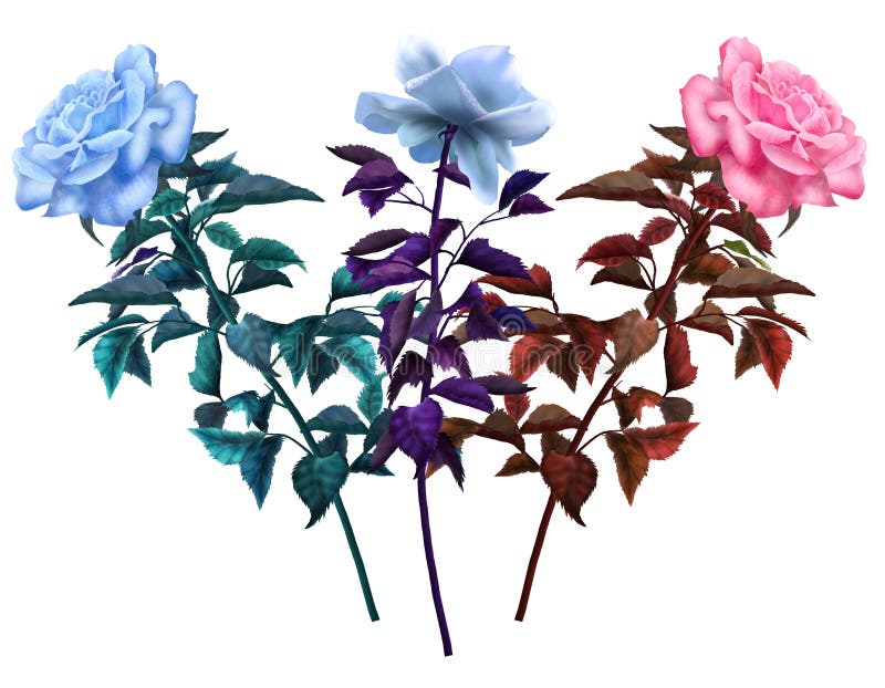 149 Flores Animadas Fotos de stock - Fotos libres de regalías de Dreamstime