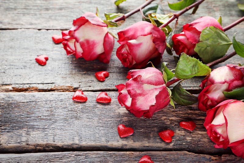 Rosas Rojas Con Los Corazones Del Amor Foto de archivo - Imagen de ...