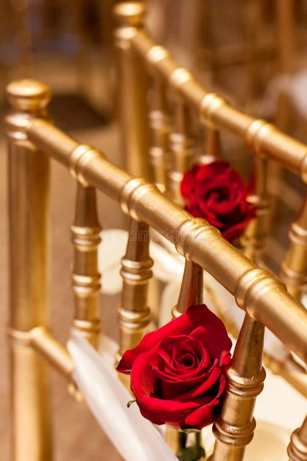 Rosas Rojas En Sillas De Oro Imagen de archivo - Imagen de primer ...