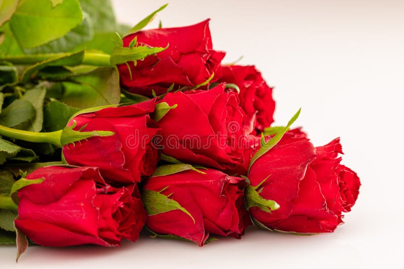 Rosas rojas para el amor imagen de archivo. Imagen de rosas - 146718693