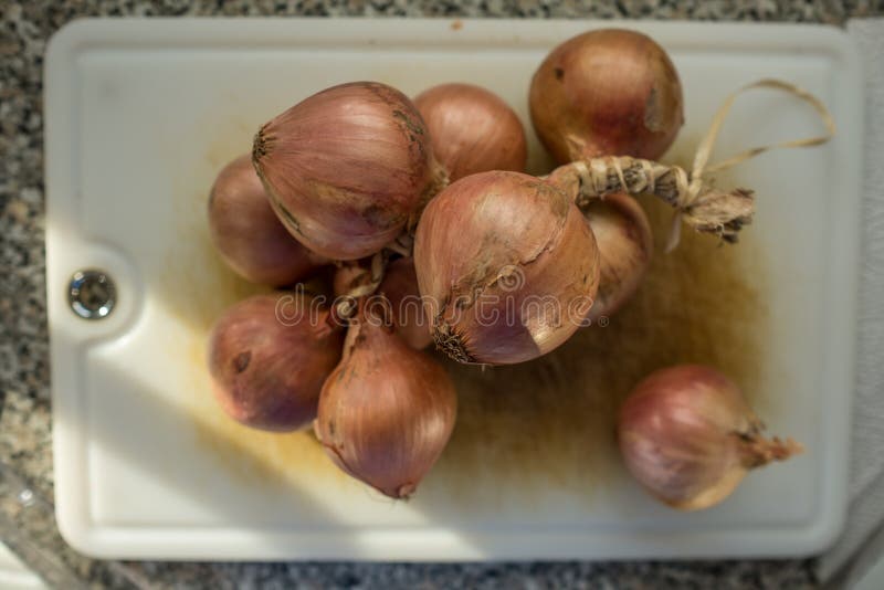 Roscoff onions stock photo. Image of healthy, wreath - 65562422