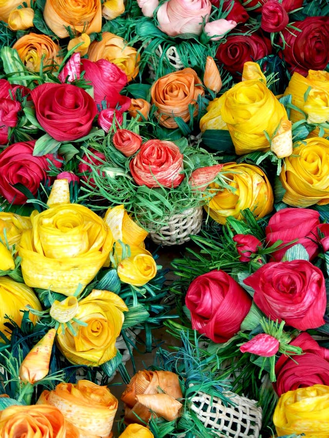 Rose stock photo. Image of rose, corn, romantic, passion - 15537152