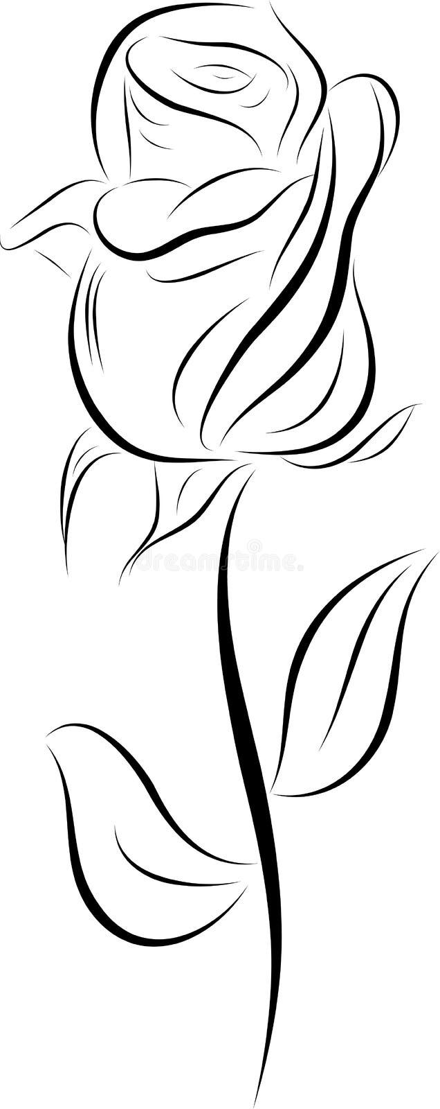 Rose Contour Stock Illustrations – 38,451 Rose Contour Stock ...