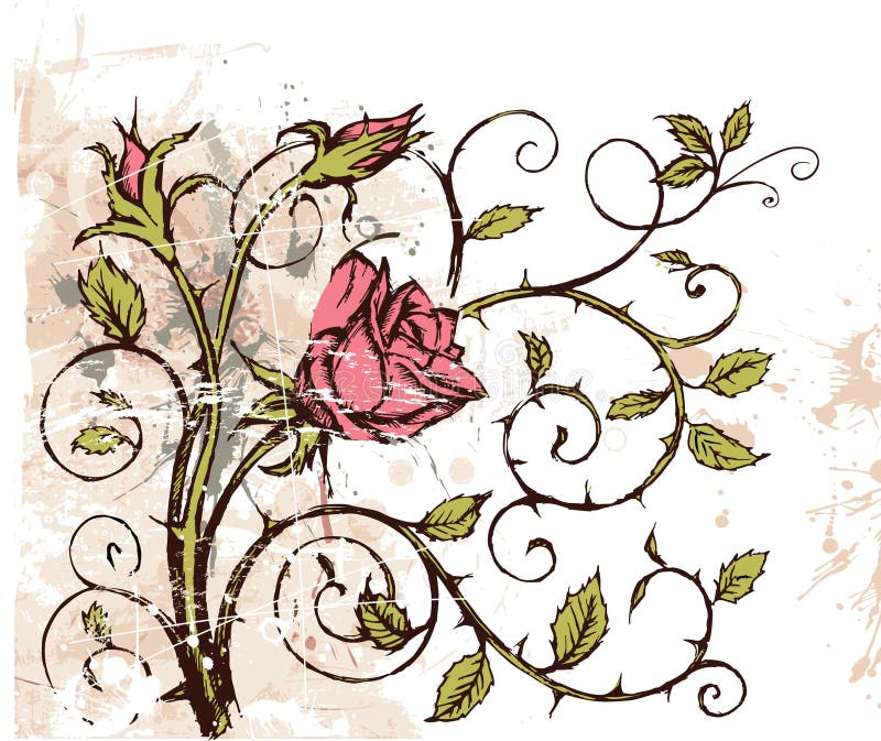 Rose stock vector. Illustration of floral, scroll, plant - 3242459