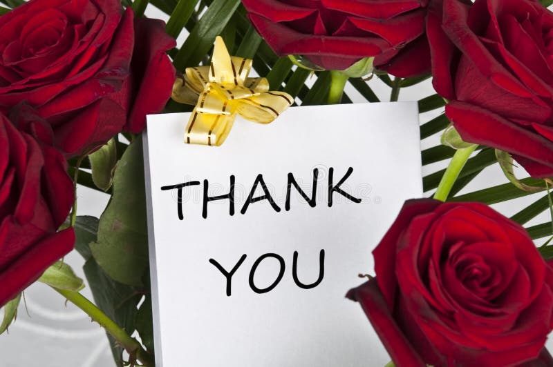 Bouquet of Roses with Apology Card Stock Image - Image of greeting ...
