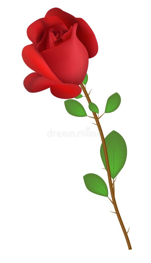 Rose Single Stem Stock Illustrations – 4,419 Rose Single Stem Stock ...
