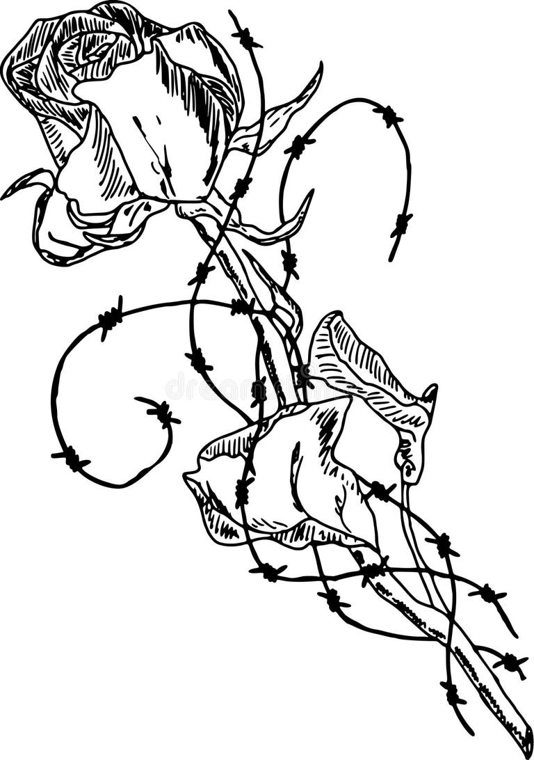 Rose Barbed Wire Stock Illustrations – 112 Rose Barbed Wire Stock ...