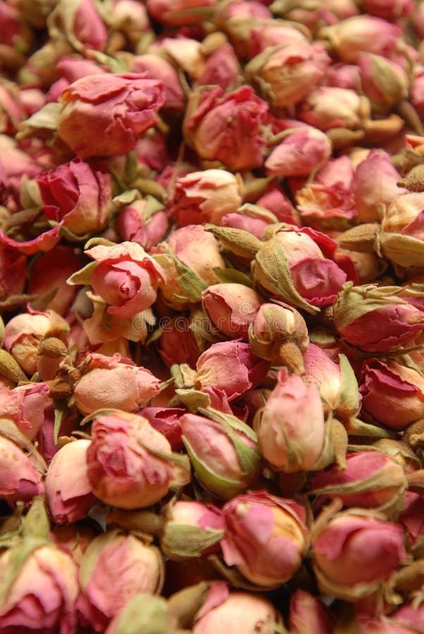 Dried damask rose. stock photo. Image of fragrance, aromatic - 15801224
