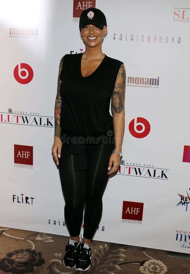 Rose ambre photo éditorial. Image du mode, musicien, artiste - 78040906