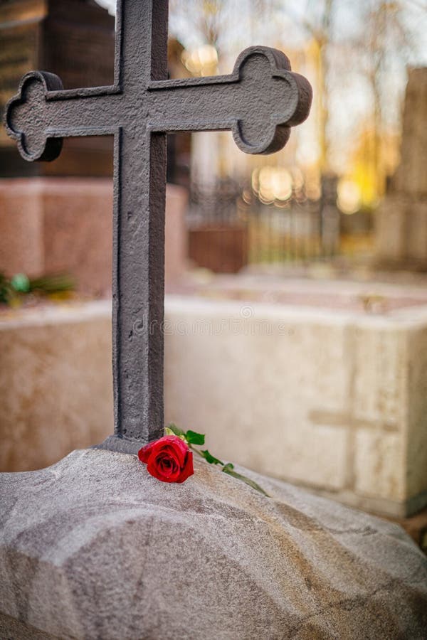 Red rose and tombstone stock photo. Image of cemetery - 147556918