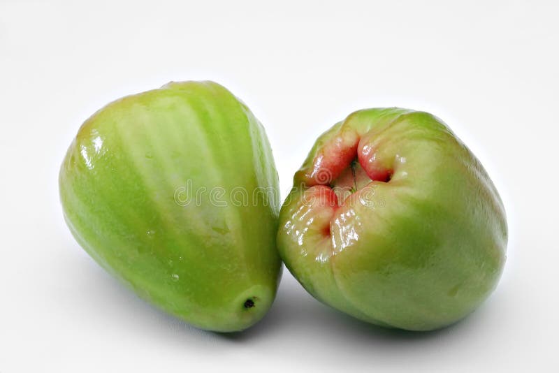 Rose apple stock image. Image of rose, tuft, green, healthy - 12502453