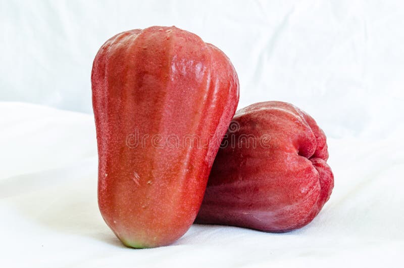 Rose apple stock photo. Image of apple, thailand, horizontal - 29130334