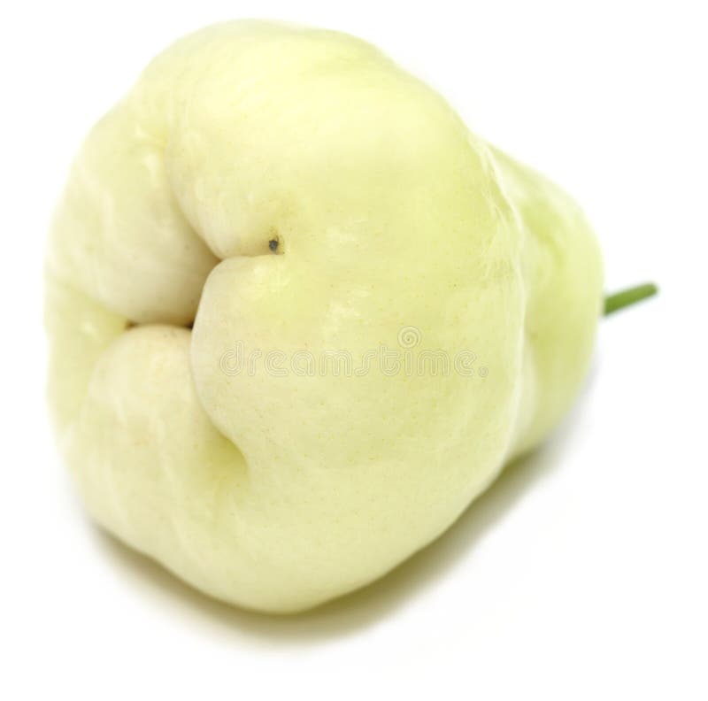 Rose apple stock photo. Image of rose, natural, green - 31448742