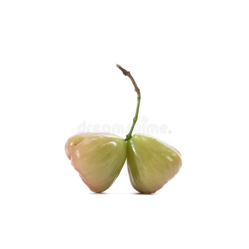 Red Rose Apple or Bell Fruit on White Background Stock Image - Image of ...