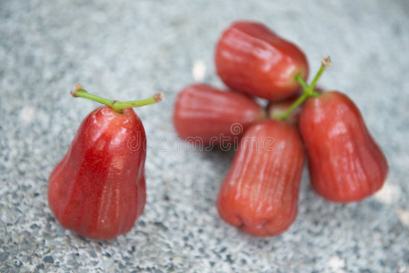 Rose apple. Thai Fruit. stock image. Image of healthy, apple - 344767