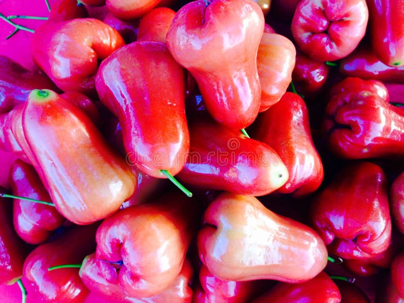 Rose apple fresh fruit stock image. Image of apple, pink - 134826269
