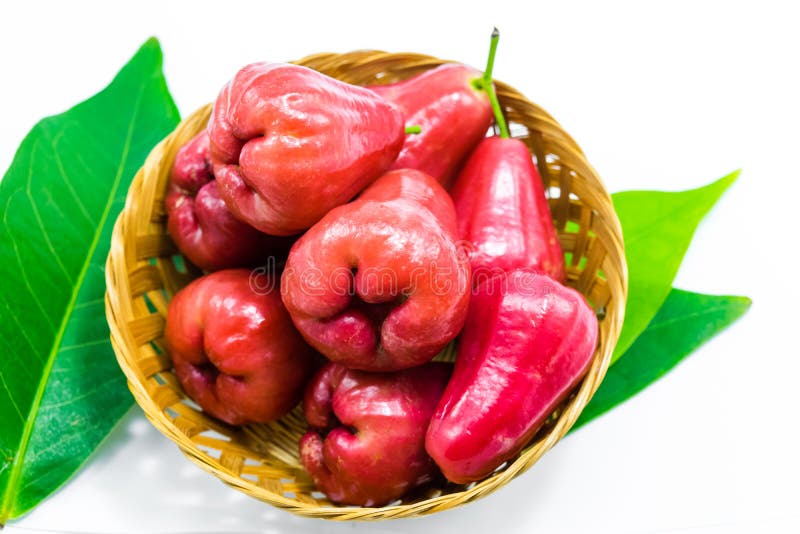 Rose apple fruit stock photo. Image of asian, love, leaves - 88877198