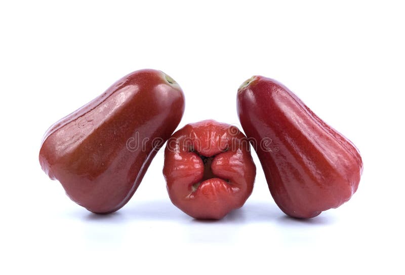 Rose apple stock image. Image of healthy, bell, apple - 66076615